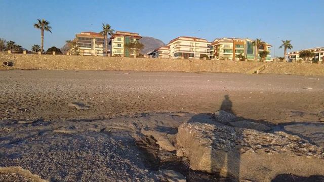 Наши находки на пляже в Кестель, Алания