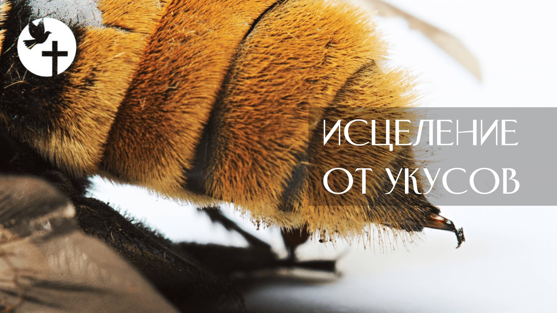 ВАКЦИНА ОТ НЕДОВОЛЬСТВА | Проповедует Иван Капуза | 9 марта 2025