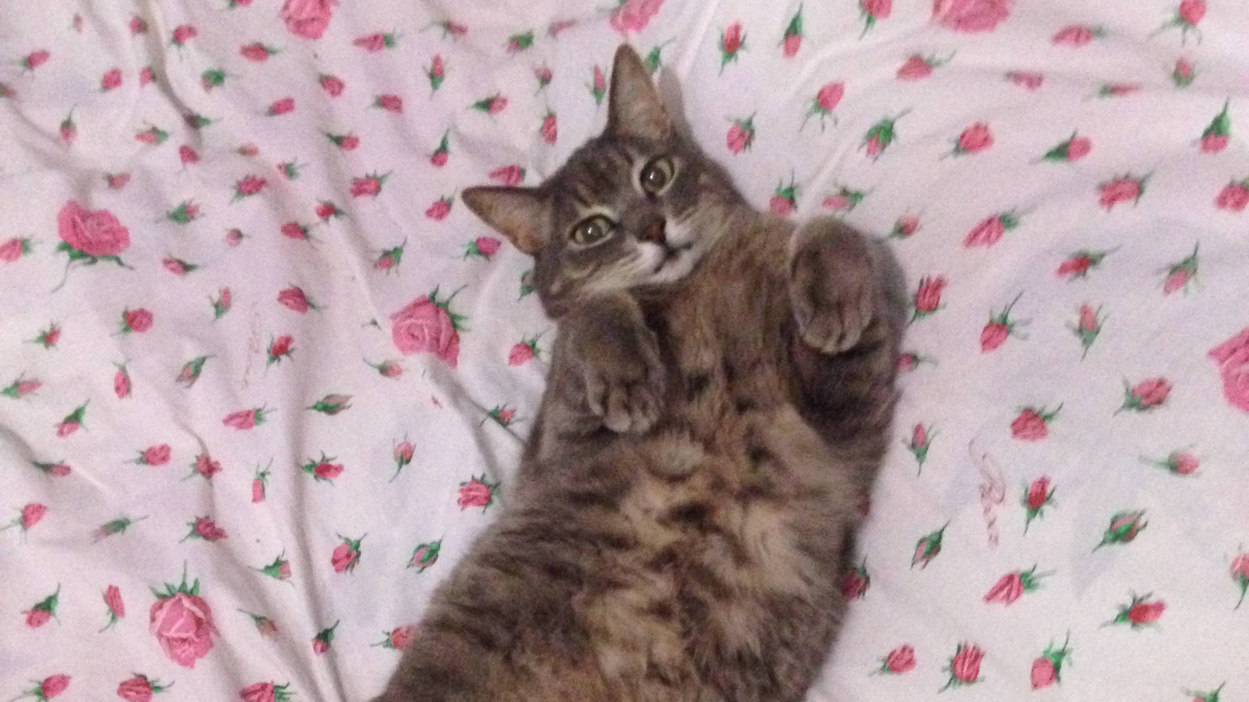 Завершение эпопеи