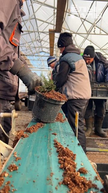 "ЁЛЫ-ПАЛЫ": Работаем на перспективу!