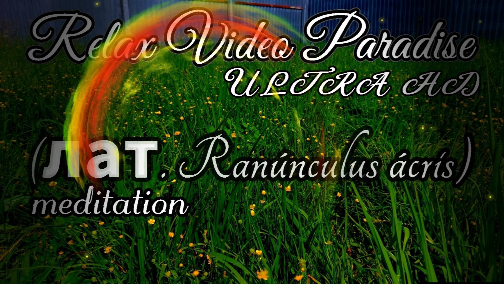 «Танец лютика: Релаксация.»