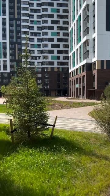 Гамаки, беседки летом в ЖК Сибирь