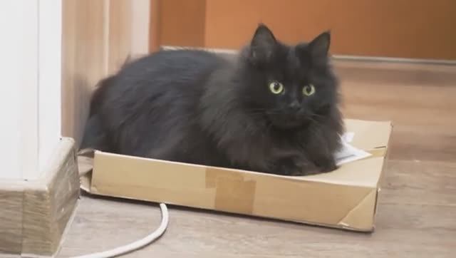 В гостях у Пушечки!