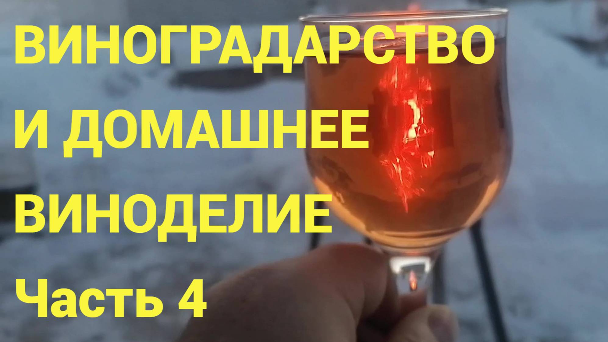 Спиртовое и яблочно -молочное брожение. Дегустация молодого вина.