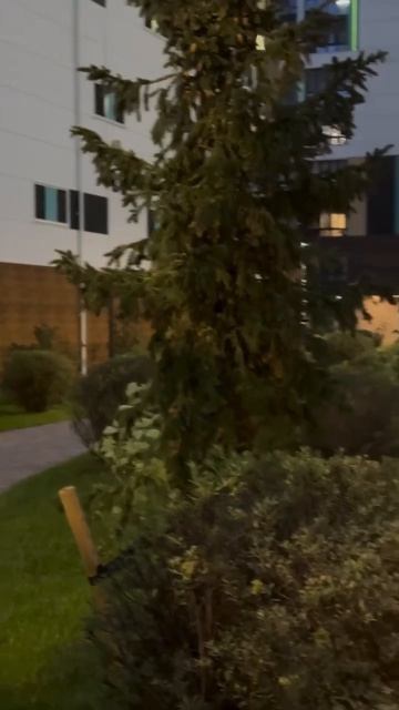 Ночная подсветка ЖК Сибирь от ГК Союз