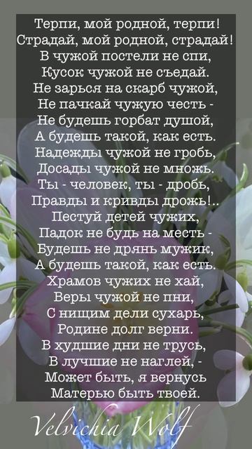 Терпи, мой родной…#стихи #поэзия #shorts