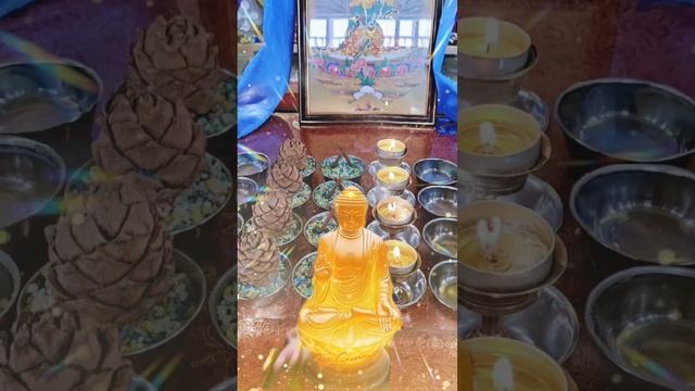 Наши Будды в Дацане 🙏🏻🙏🏻🙏🏻🪷🪷🪷.