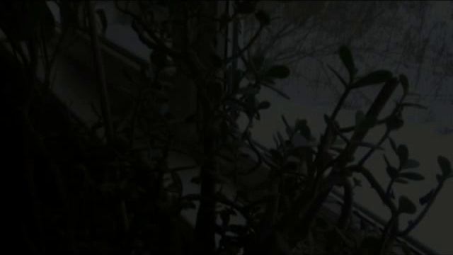 Времена года_019