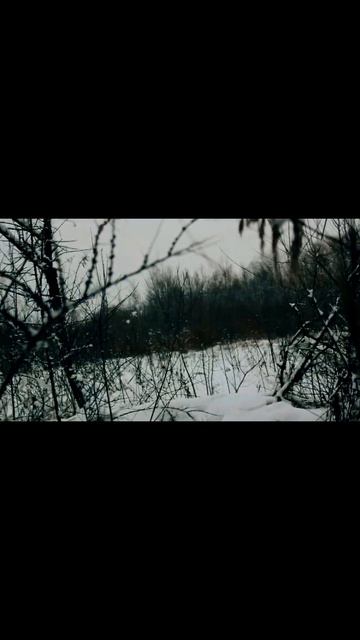 Jimmy Wise (Сердце) (3)