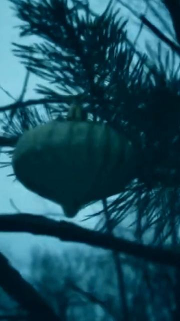 Jimmy Wise - new year mood (4)