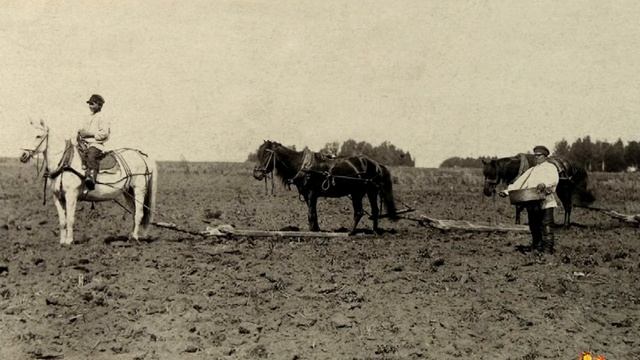 Видеоурок «Как хлеб на стол приходит»
