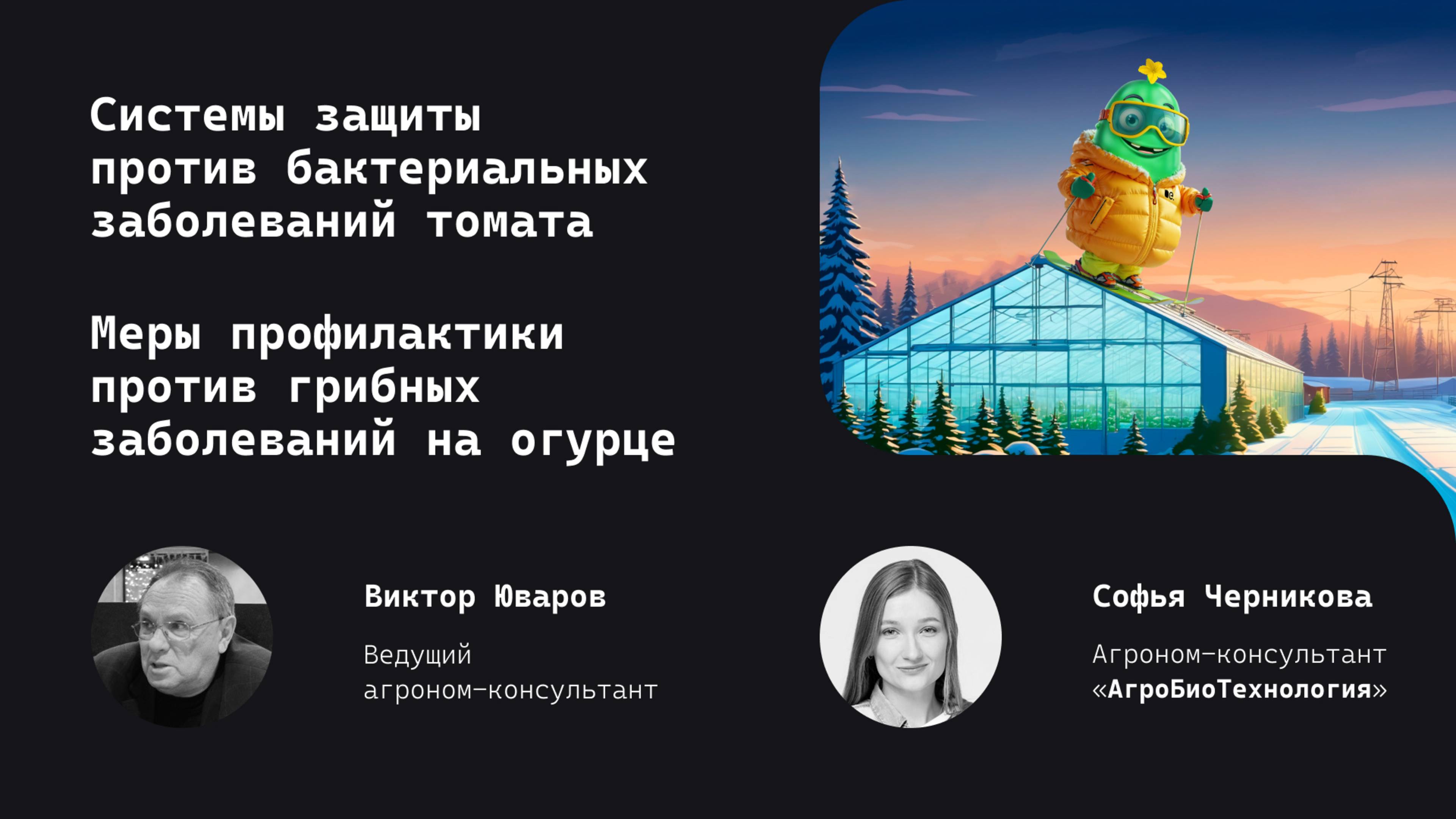 ⛷️ Системы защиты от бактериальных заболеваний томата. Профилактика грибных заболеваний на огурце