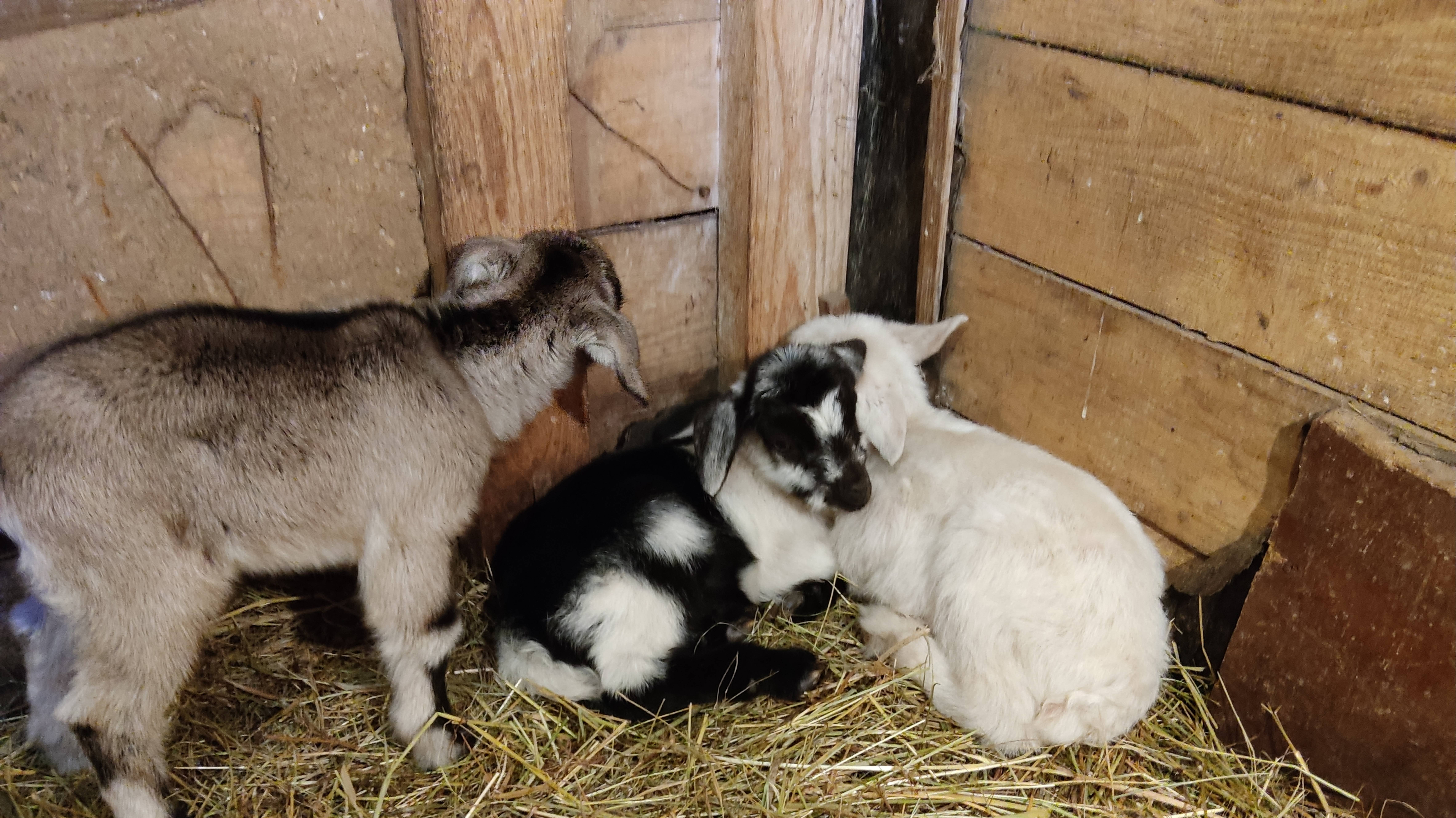 Добрые моменты