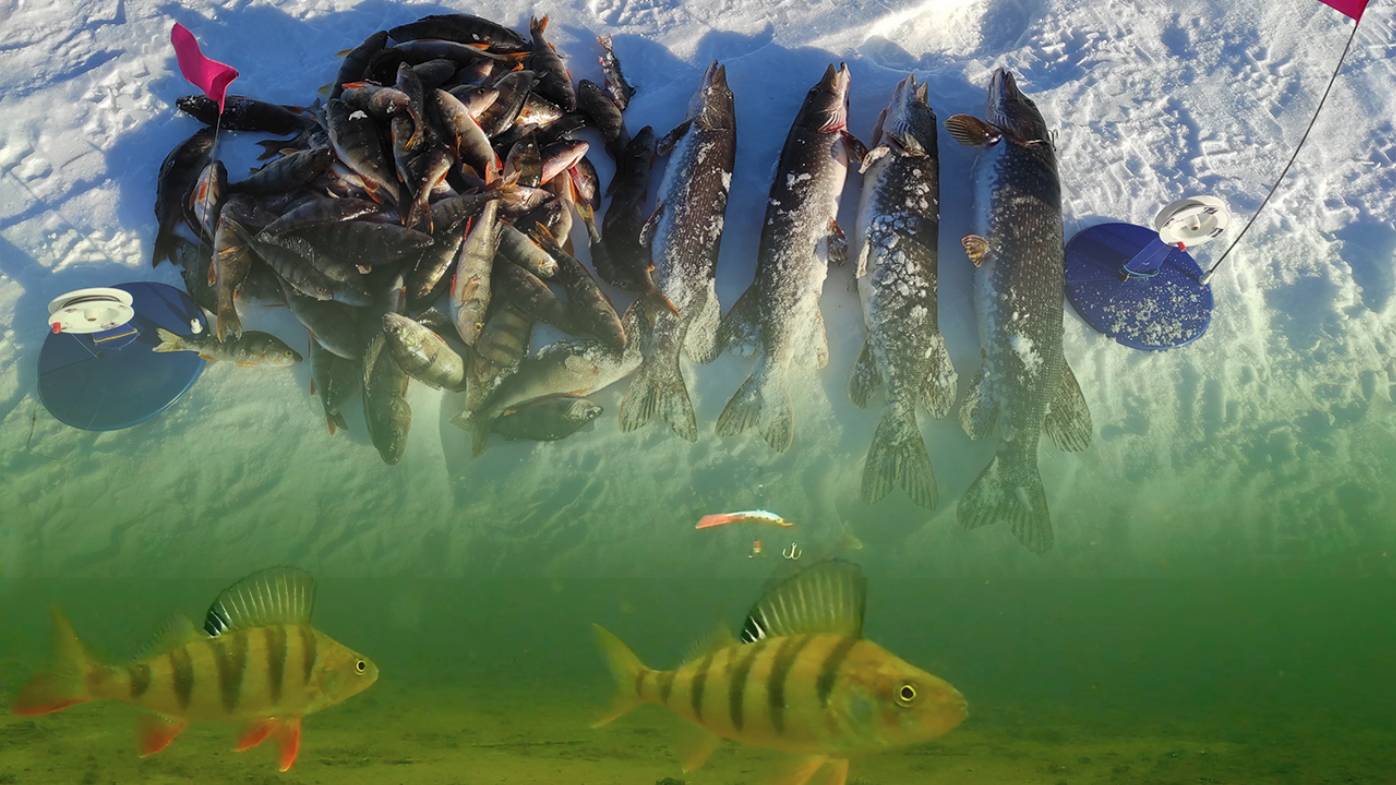 ЖЕРЛИЦЫ, МОРМЫШКА, БАЛАНСИР.