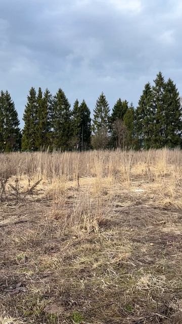 участок в красивейшем районе Подмосковья в современном Коттеджном поселке "Тишково Клаб".