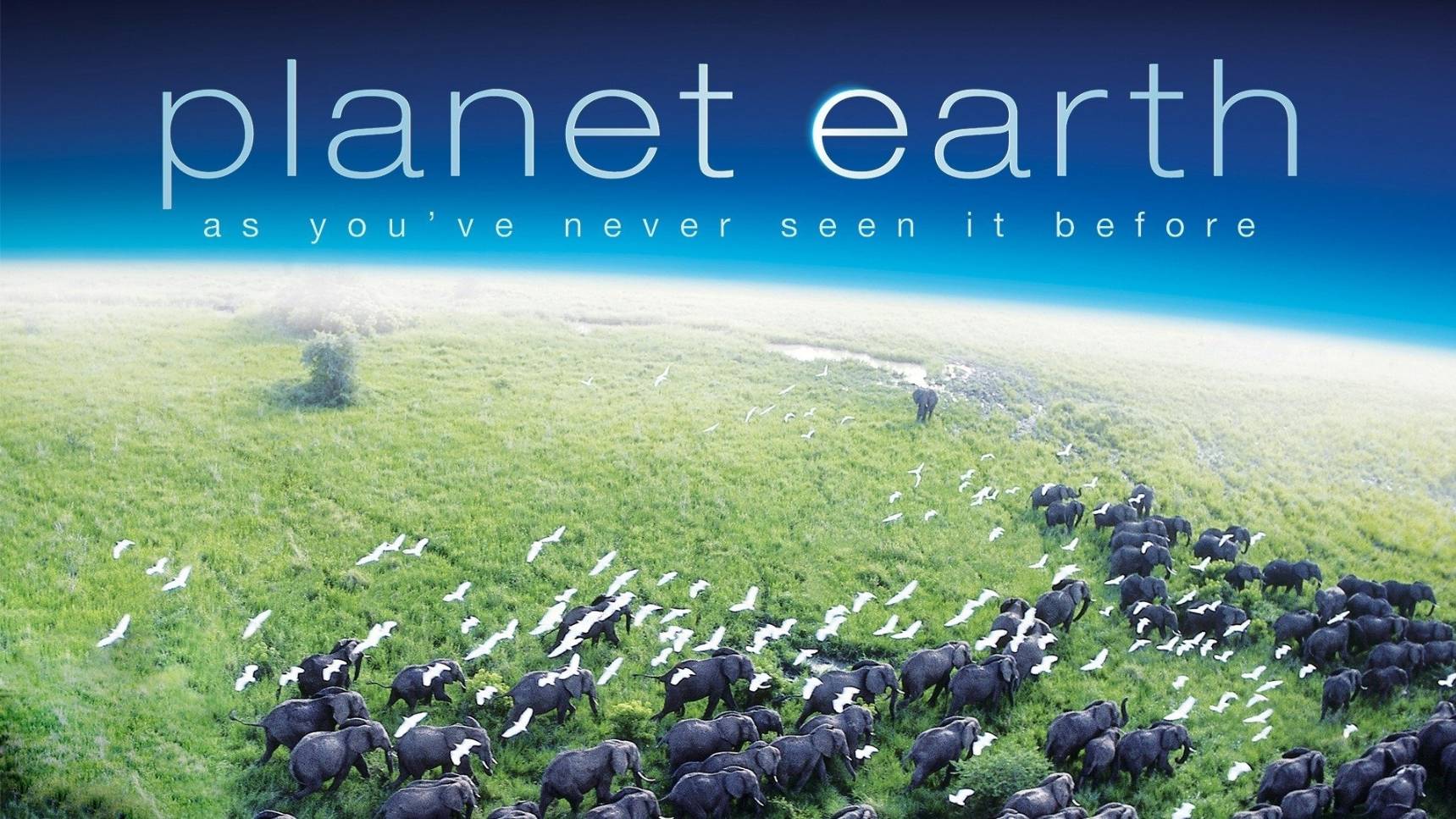 Сериал Планета Земля – 1 сезон 7 серия / Planet Earth