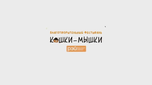 Самые ТРОГАТЕЛЬНЫЕ моменты ФЕСТИВАЛЯ «КОШКИ-МЫШКИ»
