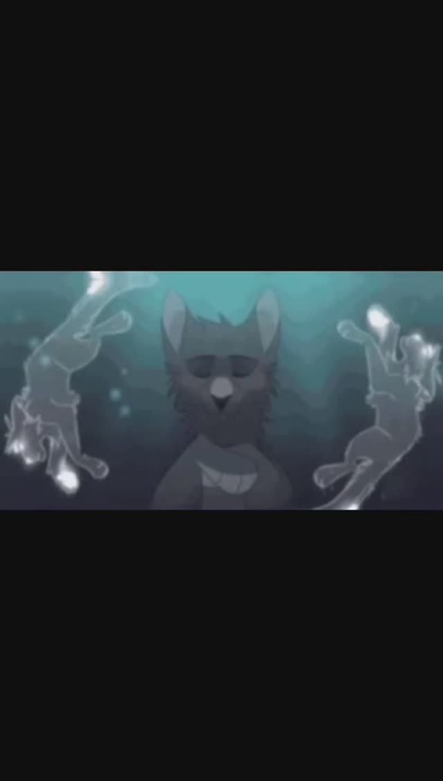 Коты-Воители 😌