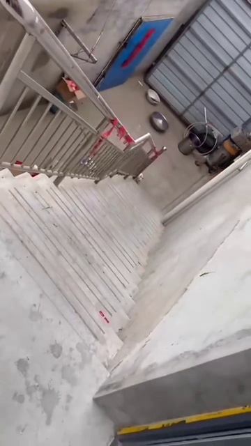 Кот паркурщик