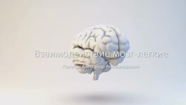 Взаимодействие мзг легкие Полупан АА 2021
