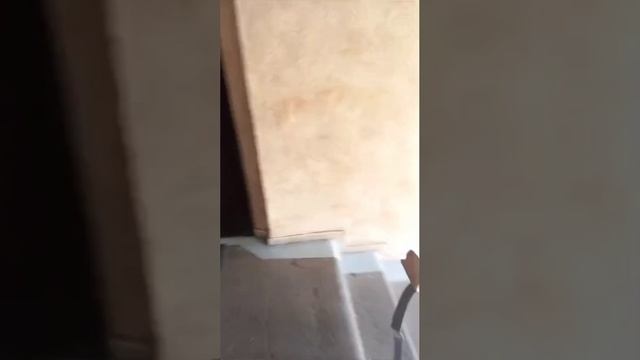 подготовка к ремонту подъезда Б.Х.54