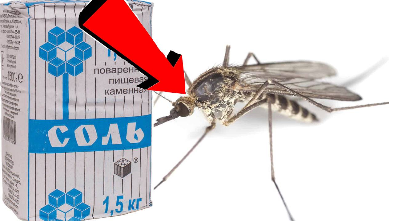 Как избавиться от комаров За 3 Секунды.!!!.