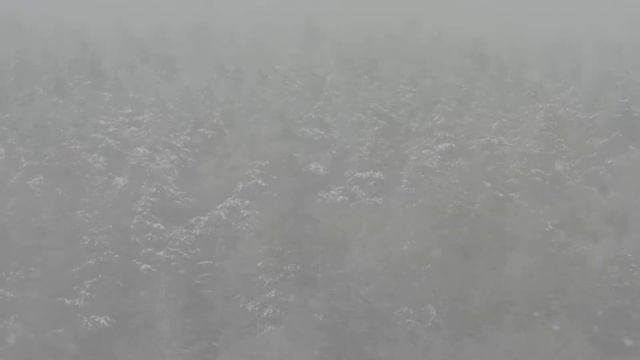 Последний снегопад весны. 27 апреля 2021 года.