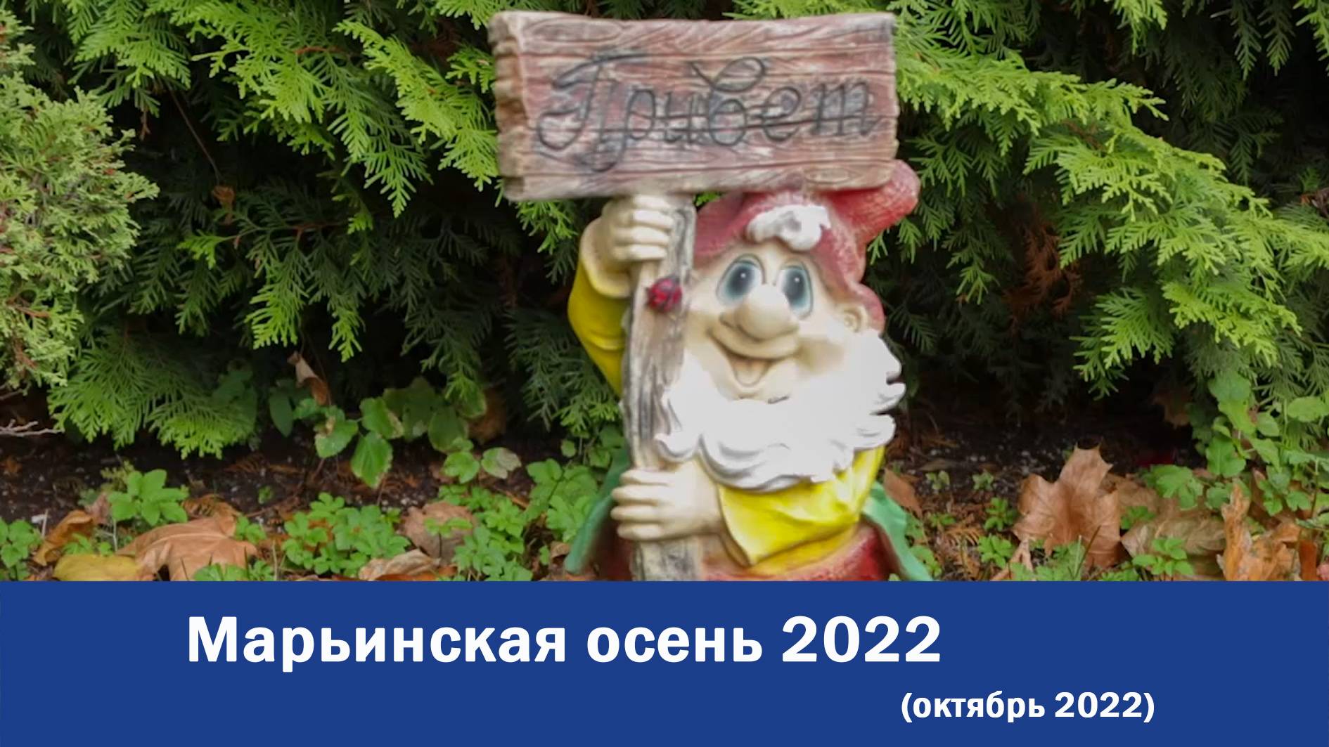 Марьинская осень 2022