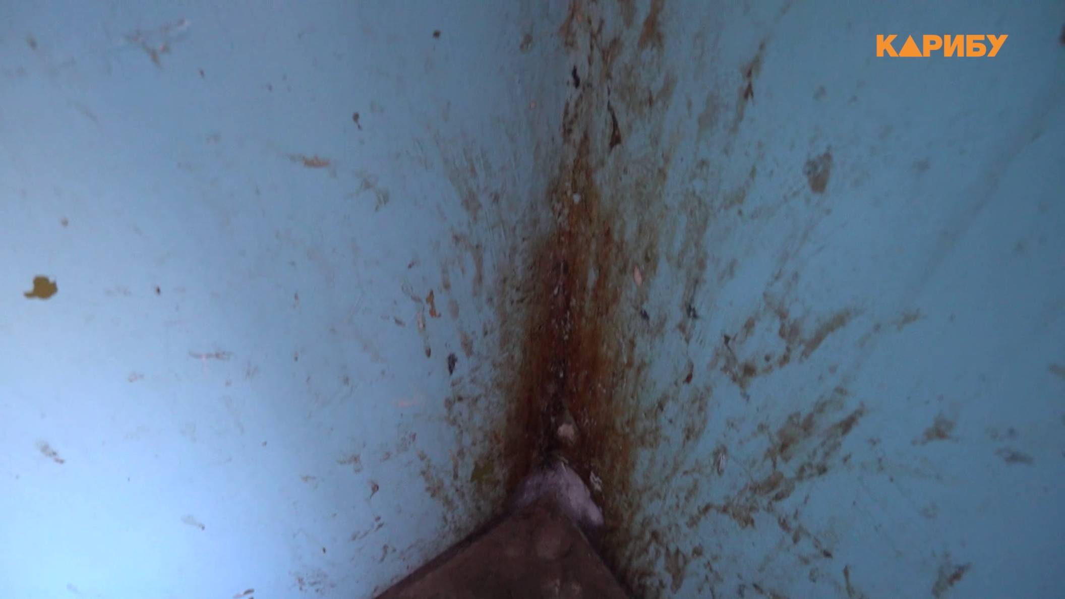 Фекалии на стенах, искры в щитках и разбитые оконные стекла: как живут на Берзина 5а