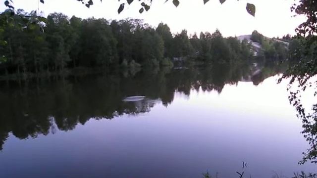 Пение соловья на Песчанке. Черноголовка, май 2008.