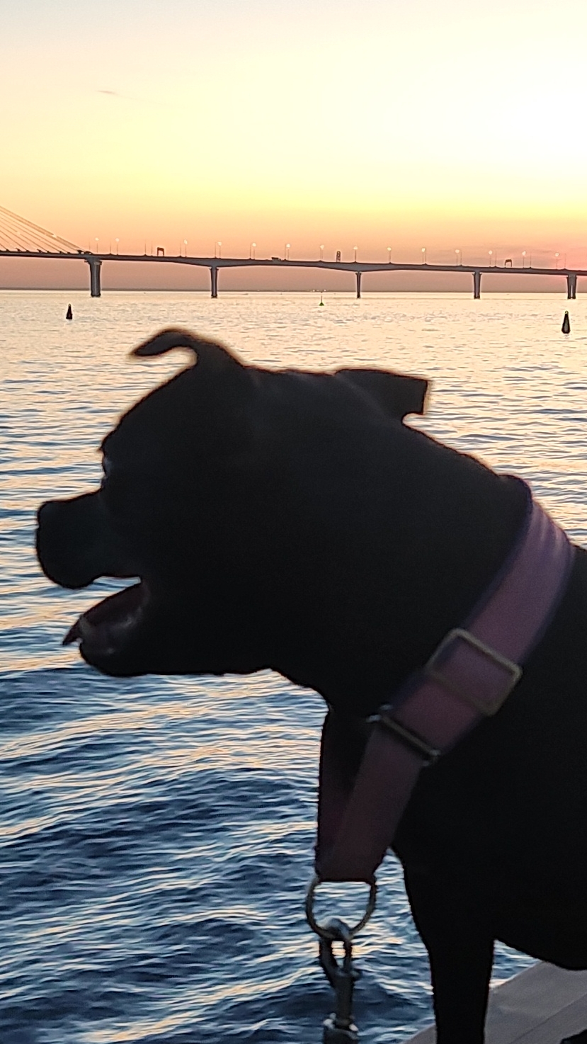 СевКабельПорт