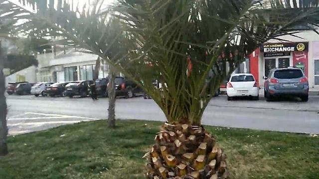 Хорватия.Сплит.Коронавирус.COVID-19. Начало апокалипсиса... Интересное время.