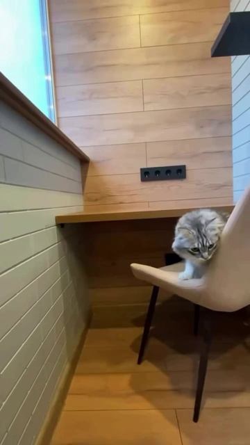 Уют и комфорт для всех от компании «КАКСВОИМ»