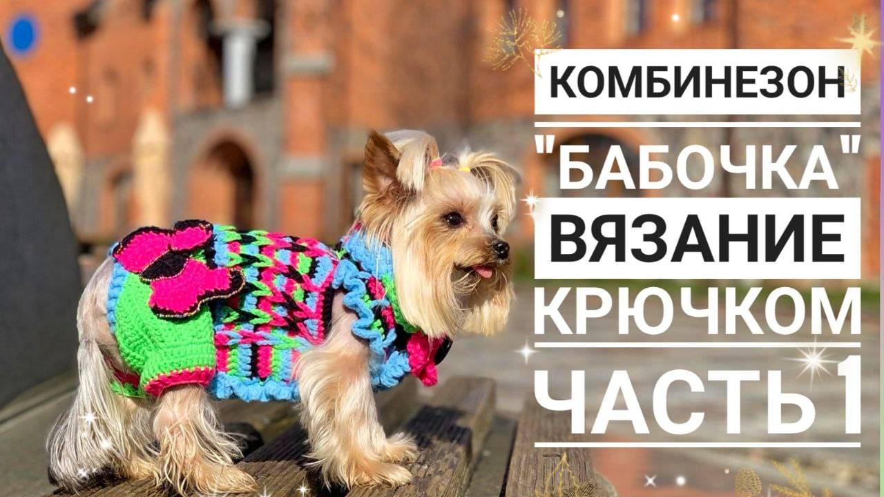 🔥 Вяжем комбинезон "БАБОЧКА" для собаки крючком из остатков пряжи! 🔥 (Часть 1)