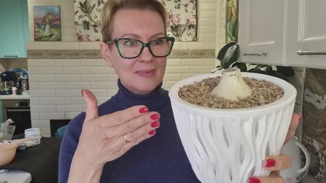 ТАКАЯ ЖУТКАЯ ЛУКОВИЦА | Обработала и посадила луковицу гиппеаструма  "Дабл Дрим махр "