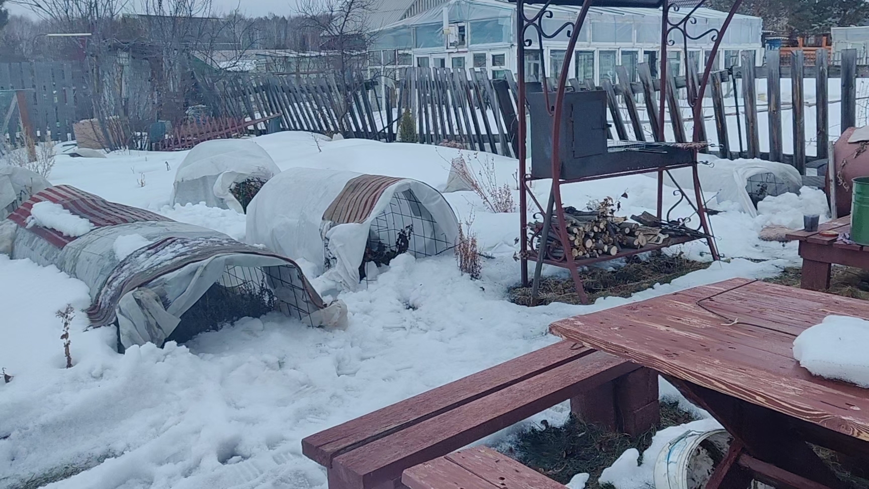 Первая вылазка на дачу 2025, немного открываю розы