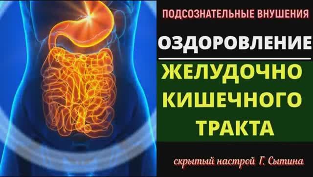 ИСЦЕЛЕНИЕ ЖЕЛУДОЧНО КИШЕЧНОГО ТРАКТА*ЖКТ*СКРЫТЫЙ НАСТРОЙ СЫТИНА*САБЛИМИНАЛ