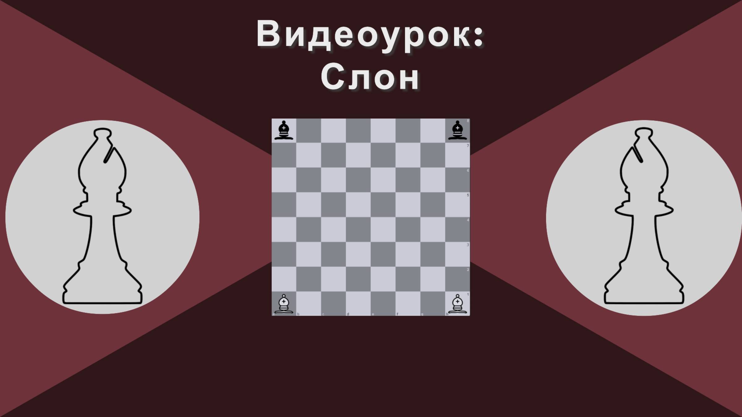 Шахматы с нуля -  Слон