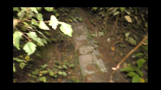 ЗАБРОШЕННЫЙ ПАНСИОНАТ "ПОЛУШКИНО", ПОБЕГ, ЧУТЬ НЕ ПОЙМАЛИ.