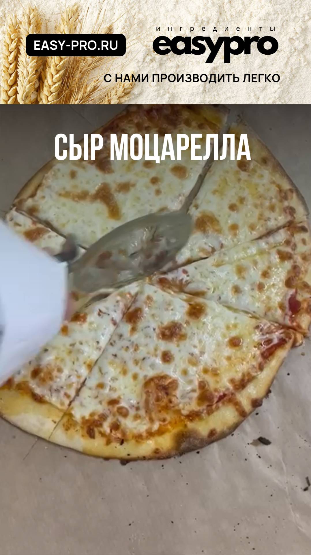 © EASYPRO - сыр моцарелла для пиццы.