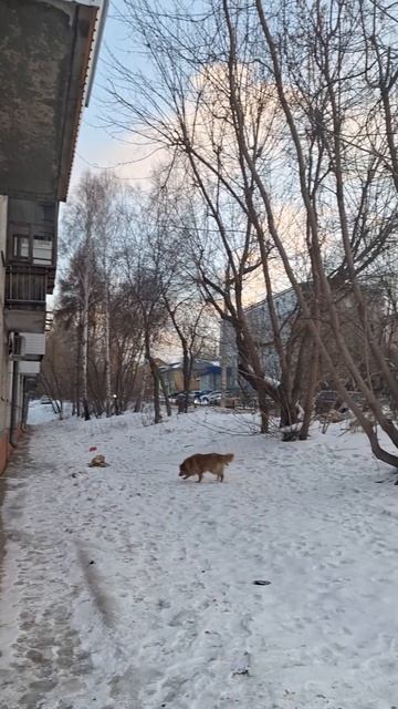 Андреев М.А. мемориальная доска