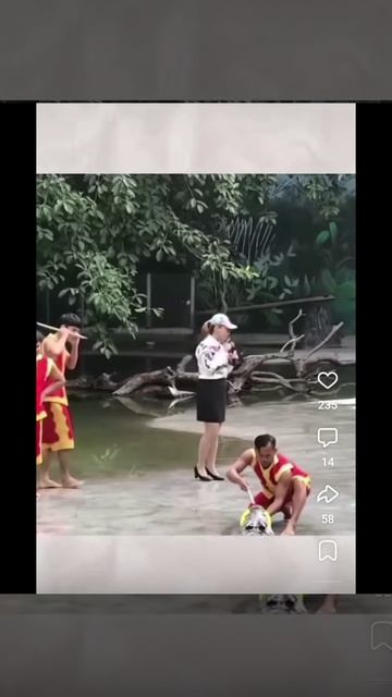 Вот так номер 🤣