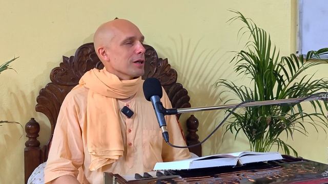 Удивительная история об ученике Шрилы Прабхупады и корове.