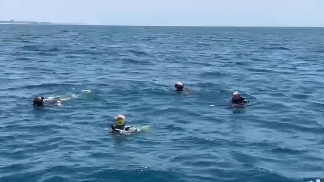 Поездка нашей дружной команды в Хиккадуву, Шри-Ланка. Март 2025 года. Видео 1