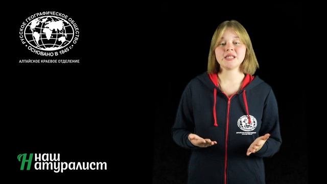 Сохраняем и исследуем. Что такое Фенология