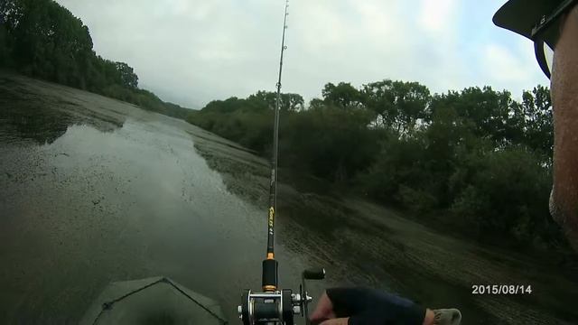 Прогулки со спиннингом август 2015