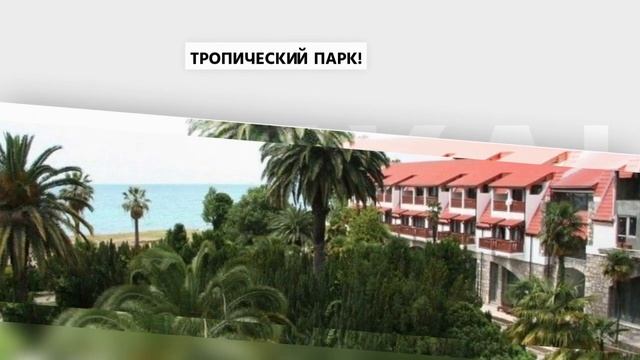 Пилатес-йога-тур в Абхазию 14-21 августа 2022