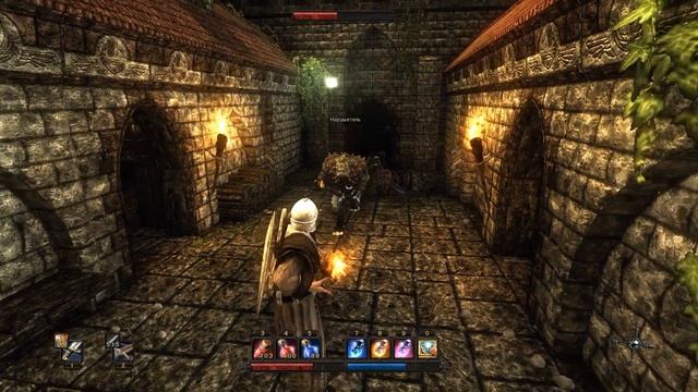 Прохождение Risen #11 (Открыли вход в вулкан )