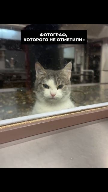 Тайна отношений модели к фотографу / Фоограф Андрей Беляев