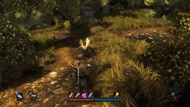 Прохождение Risen #6 (Выполняем задания мастеров)